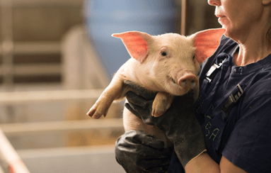 Career Profiles | Careers in Agriculture | AgCareers.com