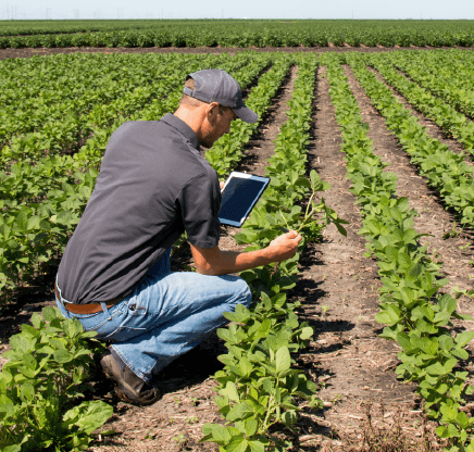 Agronomist | Career Profile | AgCareers.com