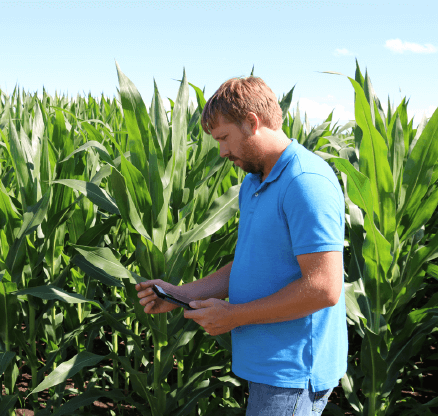 Agronomy Sales and Management | Career Profile | AgCareers.com