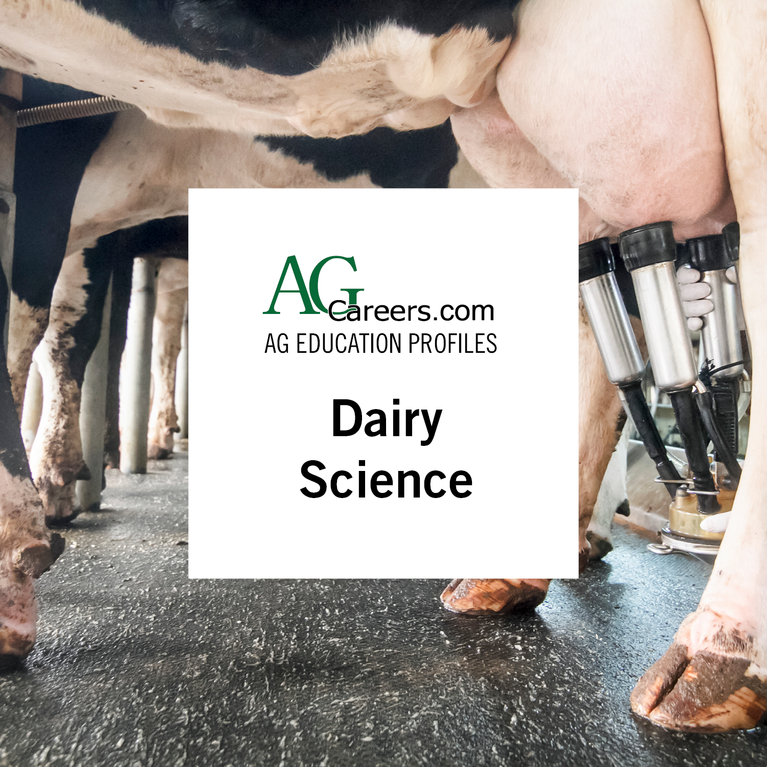 Dairy Science | Education Profile | AgCareers.com
