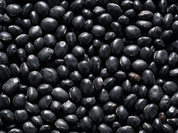 Seneca Foods Corporation Jobs and Careers | AgCareers.com