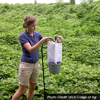 Entomologist | Career Profile | AgCareers.com