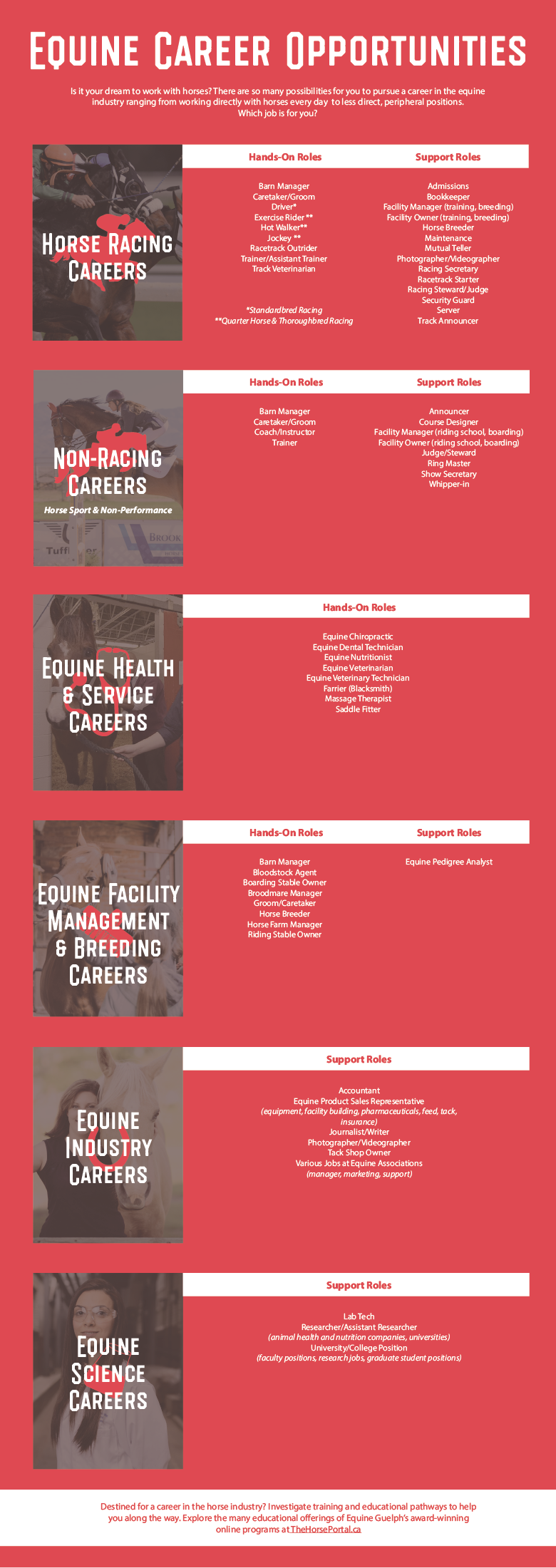 Equine Career Opportunities | AgCareers.com