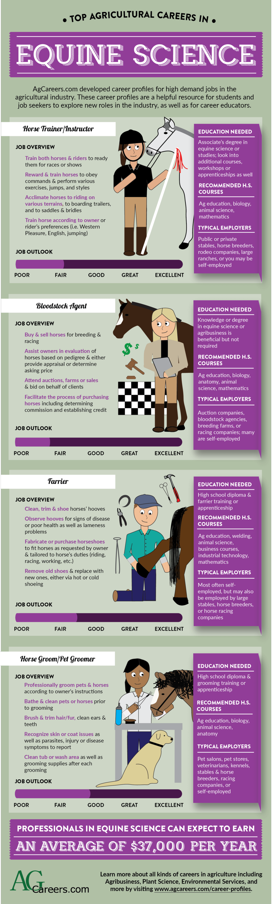 Top Agricultural Careers in Equine Science | AgCareers.com