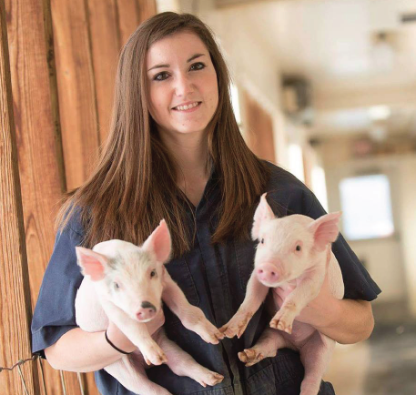 Swine Nursery Worker | Career Profile | AgCareers.com