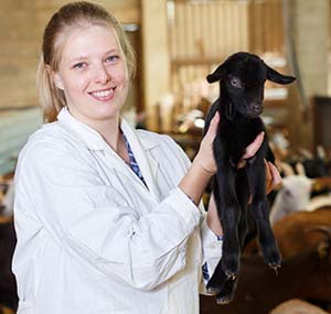 Animal Breeder | Career Profile | AgCareers.com