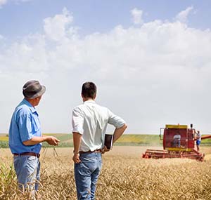 Originator | Career Profile | AgCareers.com