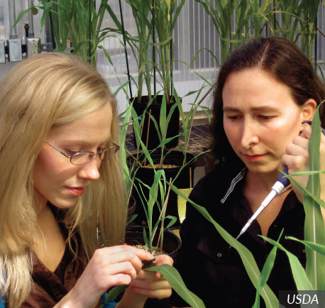 Plant Biologist | Career Profile | AgCareers.com