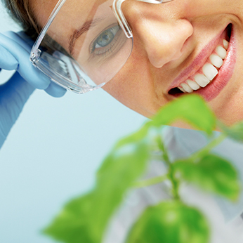 Plant Breeder | Career Profile | AgCareers.com