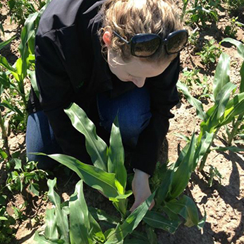 Plant Scientist / Field Agronomist | Career Profile | AgCareers.com