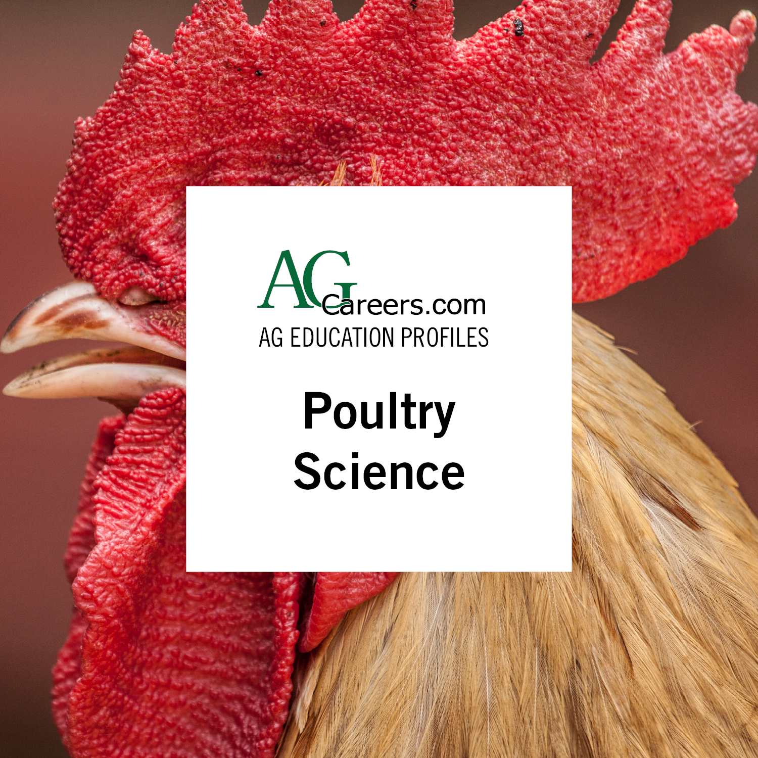 Poultry Science | Education Profile | AgCareers.com