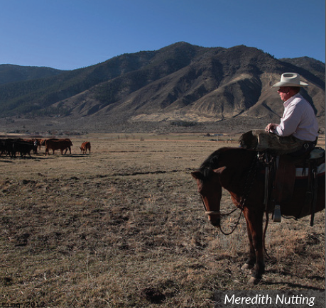 Ranch Manager | Career Profile | AgCareers.com