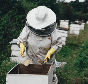 Apiary Worker / Beekeeper | Career Profile | AgCareers.com