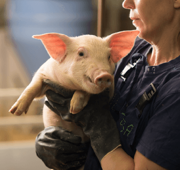 Breeding Manager / Multiplication Manager | Career Profile | AgCareers.com