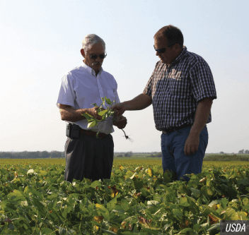 Crop Systems Specialist | Career Profile | AgCareers.com