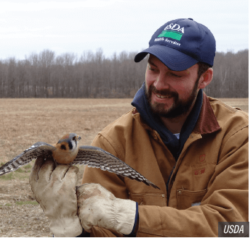 Falconer | Career Profile | AgCareers.com