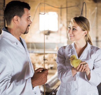 Herd Nutritionist | Career Profile | AgCareers.com