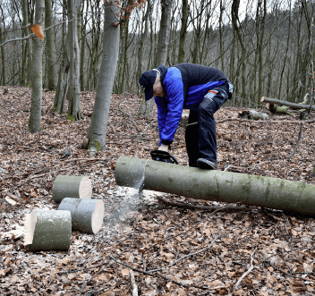 Logger | Career Profile | AgCareers.com