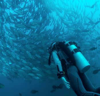 Marine Biologist | Career Profile | AgCareers.com