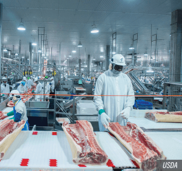 Slaughter Processor General Operator | Career Profile | AgCareers.com