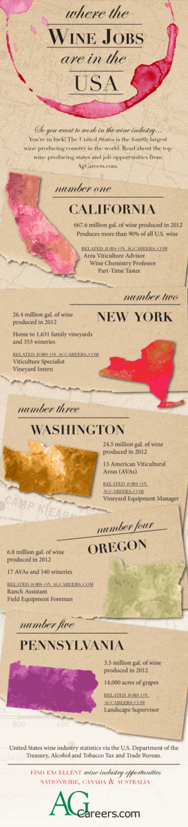 Where the Wine Jobs are in the USA | Infographic | AgCareers.com